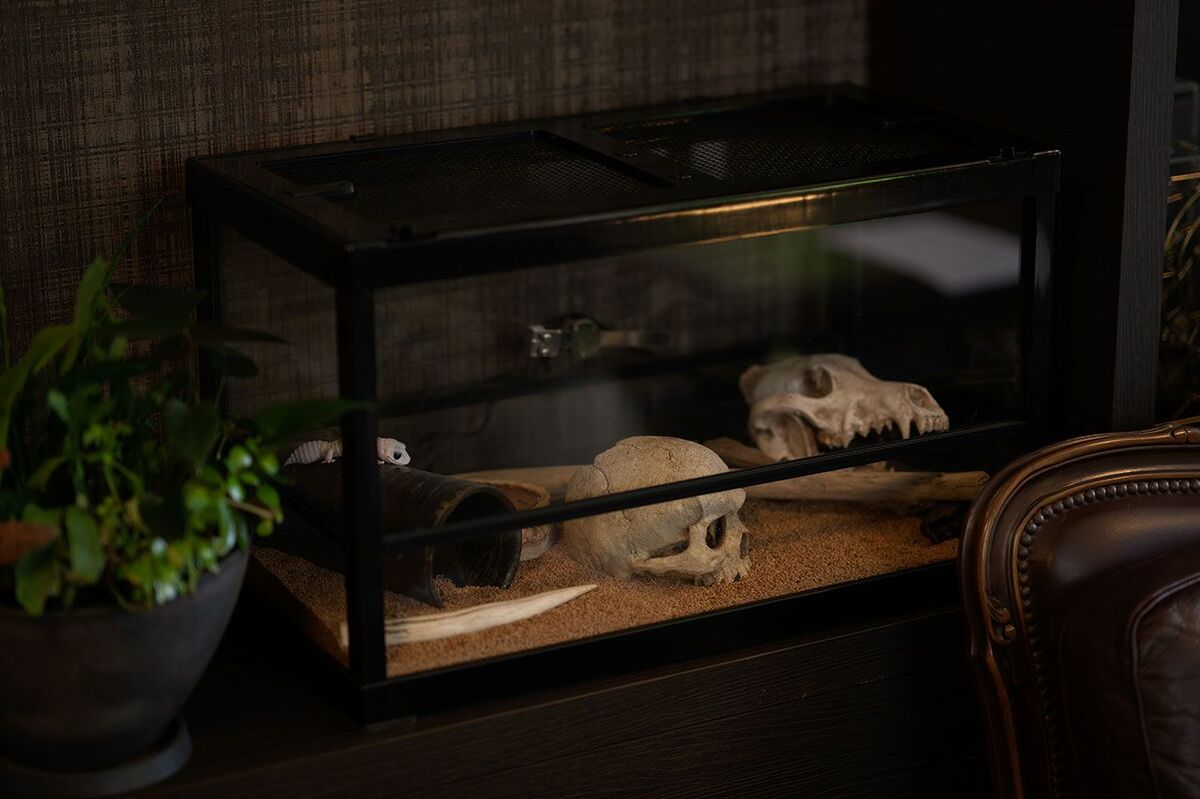 21歳で9LDKの大豪邸を購入…天才演歌歌手“さくらまや”が語る、デビューから15年の現在地 | 写真 | 15枚目